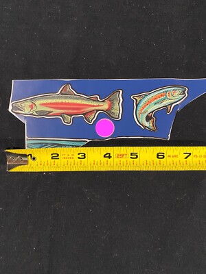 Rainbow Trout Stickers 2 Pk Vinyl Decal Stickers for Sports Enthusiast ...