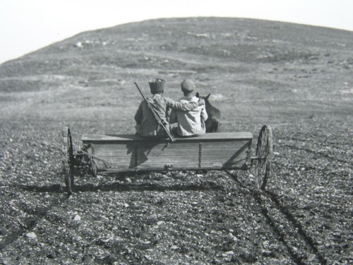 Jewish Judaica palestine Eretz Israel Kibbutz Ein HaShofet GPO press ...
