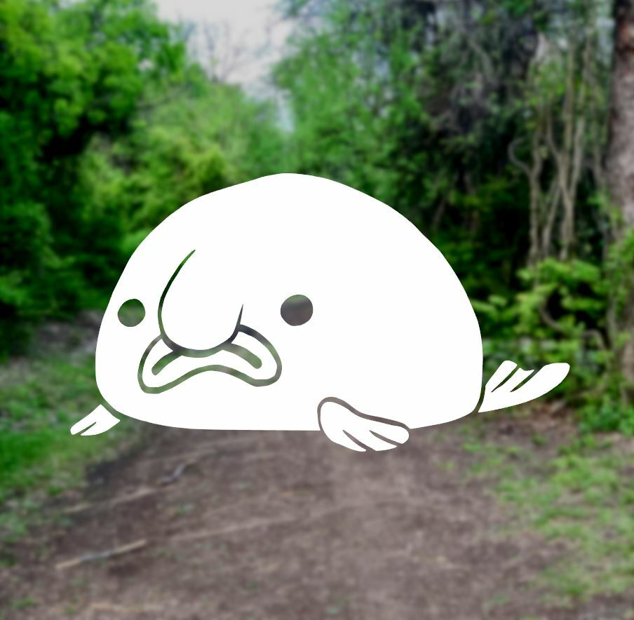 Funny Blobfish Memes I'm Attracted To Blobfish Meme By Breecko :)