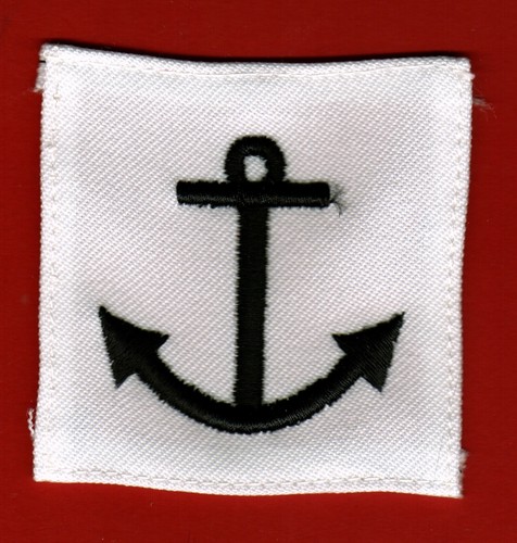 NAVY SEAMAN APPRENTICE TRAINING GRADUATE INSIGNIA | eBay