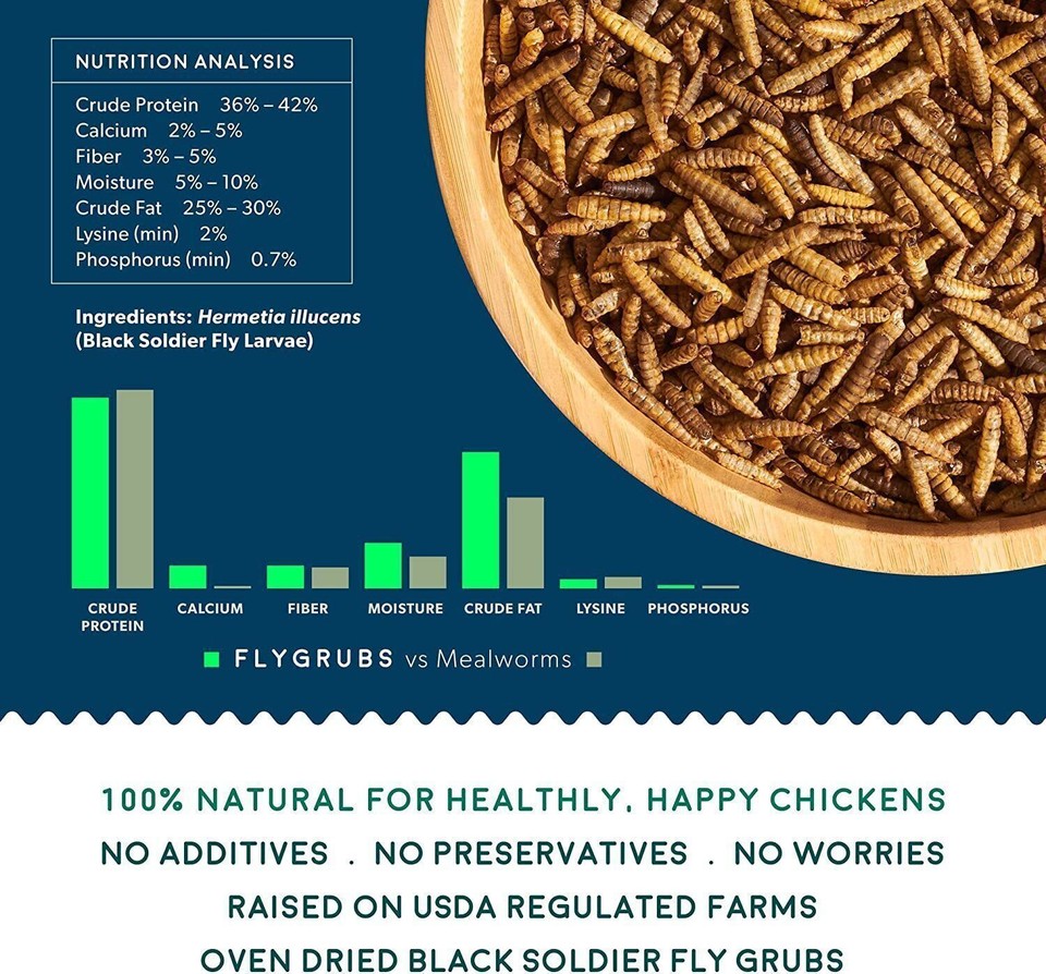 Dried Black Soldier Fly Larvae Chickens Feed Birds Treats Natural Food ...