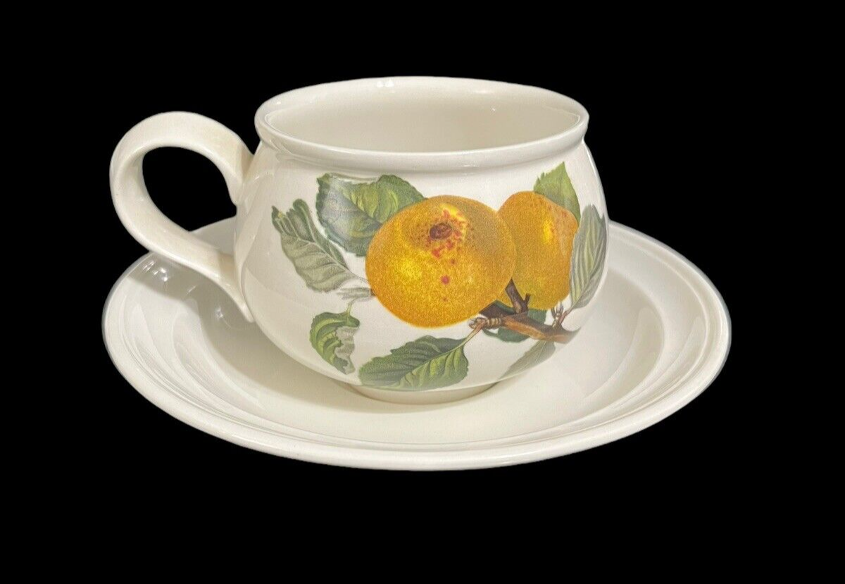 Portmeirion Pomona Romantic Tea Cup & Saucer Set PIPPIN APPLE 7oz | eBay