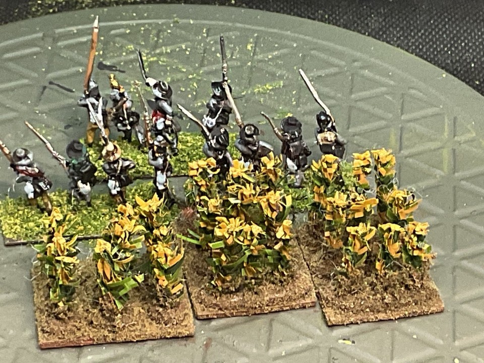 15mm Painted ACW Confederate Regiment . 12 Figs. With Terrain | eBay
