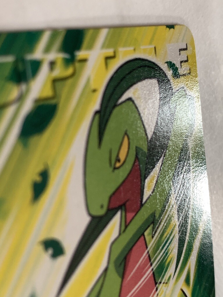 Cartao Pokemon Grovyle Grovyle 21/214 | Lost Thunder