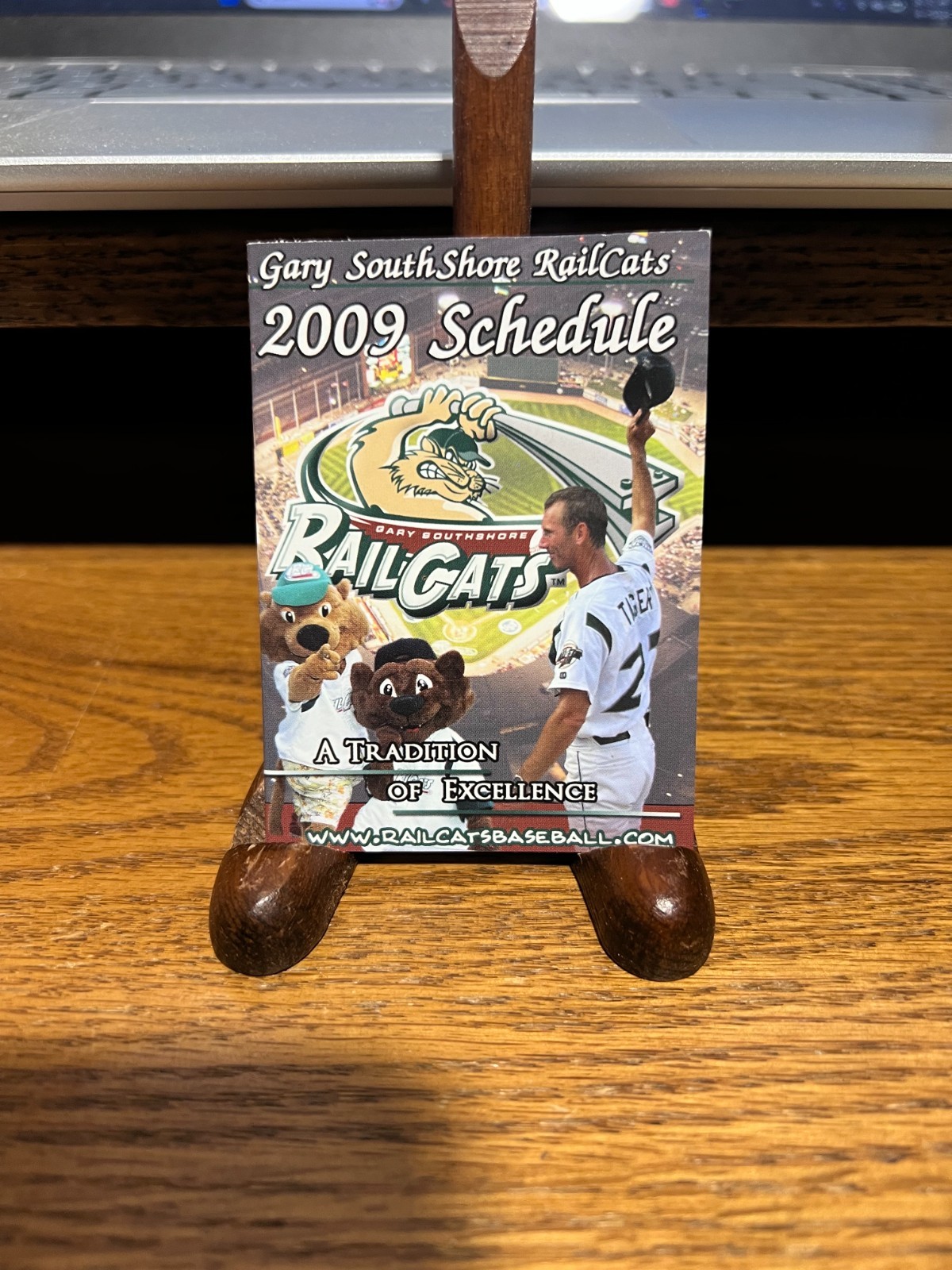 2009 Gary South Shore RailCats Pocket Schedule | eBay