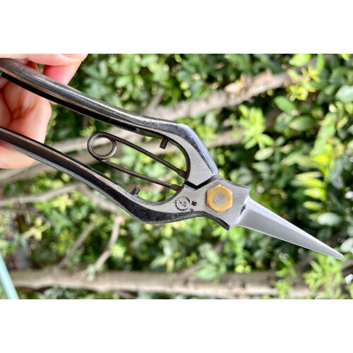 Murahisa Double-edged Bud Cutting Scissors 180mm Leather Stopper LTD ...