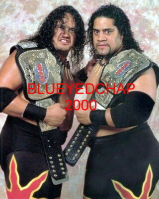 ISLANDERS WRESTLER 8 X 10 WRESTLING PHOTO WWF | eBay