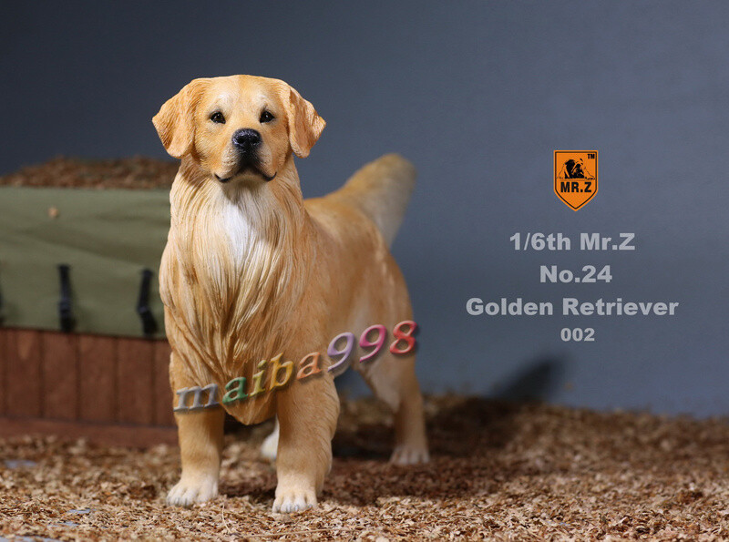 1/6 Scale Golden Retriever Action Figure Dog Model Statue Toy Home ...