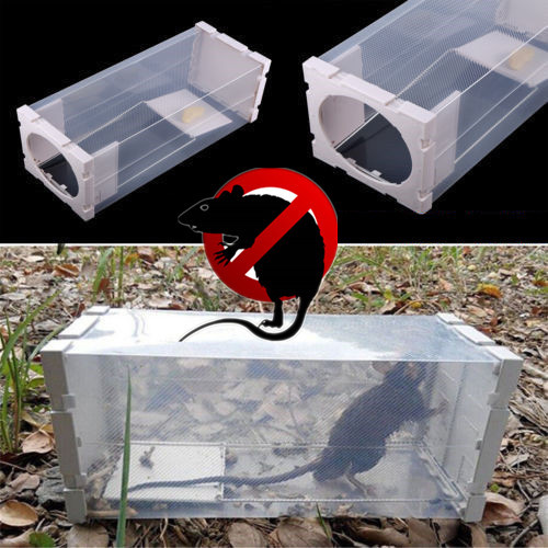 Home Restaurant Mouse Trap Humane Live Catcher Rat Vermin Rodent Cage ...