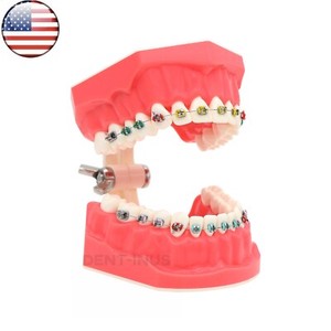 Dent-inus | eBay Stores