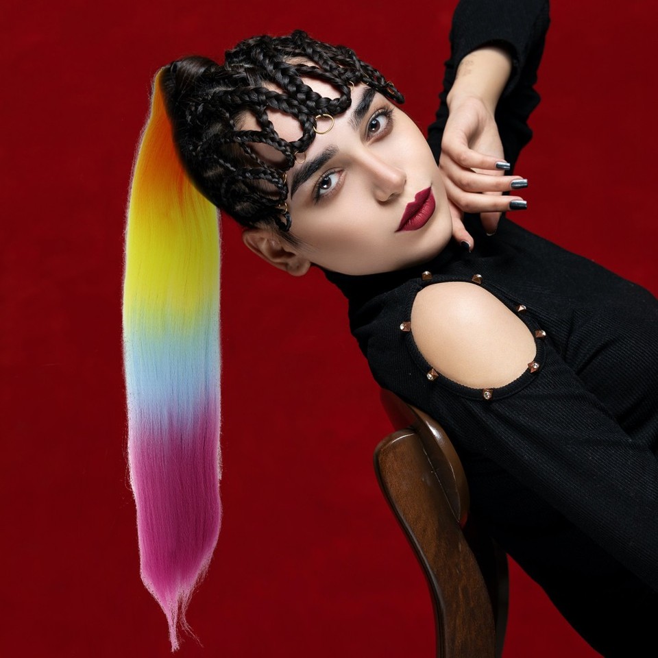 Rainbow Braiding Hair Synthetic Colored Hair Extension for Women Teens ...