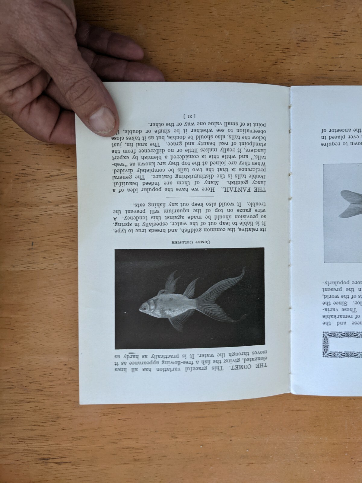 William T. Innes, The Modern Aquarium 1937 | eBay