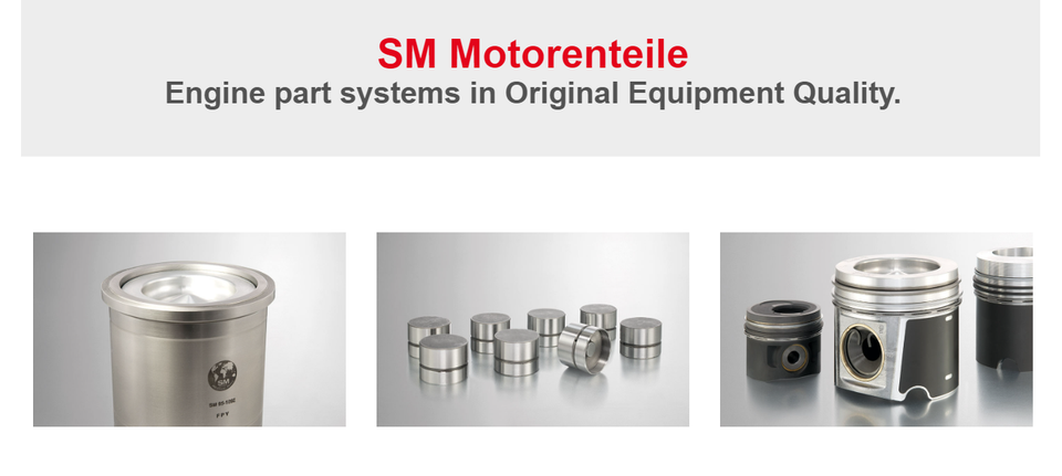 Piston ring set SM for Mitsubishi Pajero L200 L300 2.5TD 4D56-T 4D56 ...