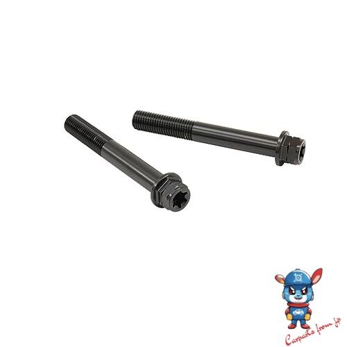 PLOT Brembo Stainless Caliper Mount Bolts Black 85mm Hex M10/P1.25 2pcs 4550255832452| eBay