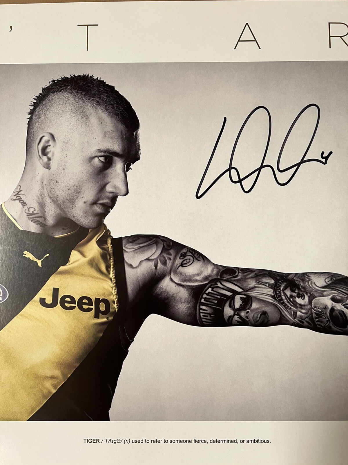 DUSTIN MARTIN Richmond Tigers Hand Signed Official AFL Dont Argue Print ...