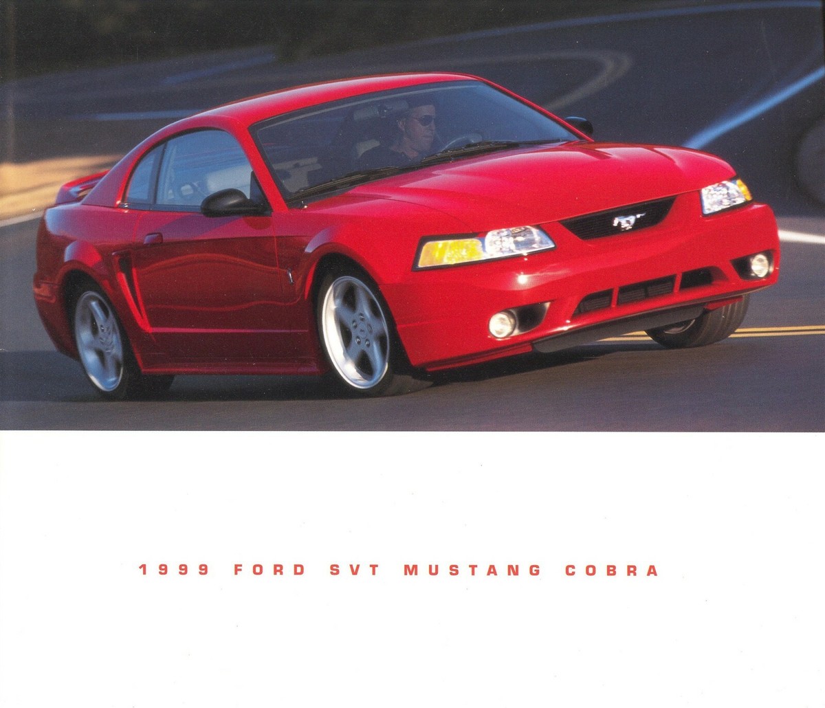 1999 Cobra Mustang 1999 Ford Mustang | Classic Cars For Sale