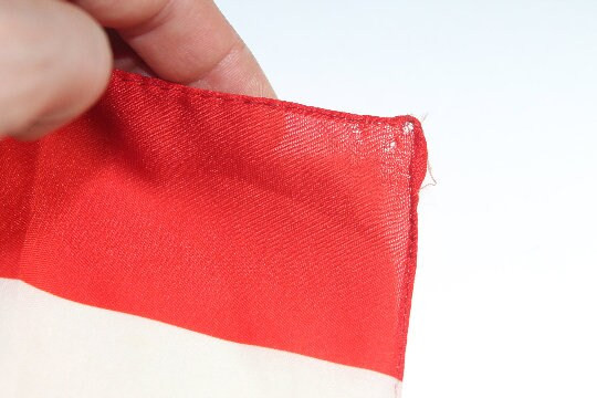 Bruce Springsteen American Flag