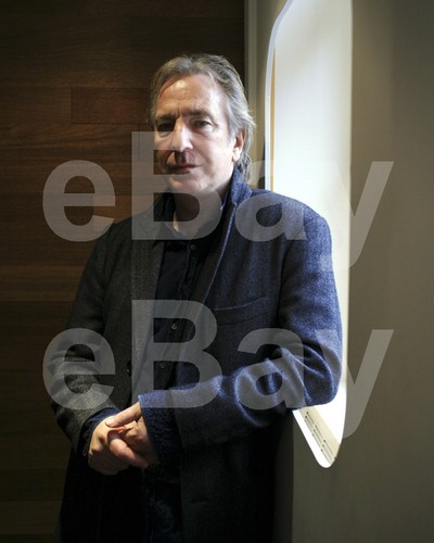 Alan Rickman Photoshoot 10x8 Photo | eBay
