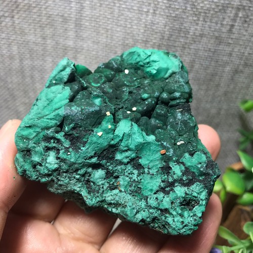 138g Natural Rough and unprocessed Malachite Mineral freeform specimen ...