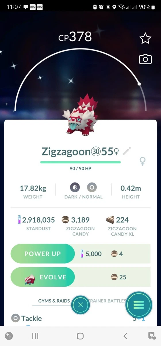 Shiny Zigzagoon Pokemon X