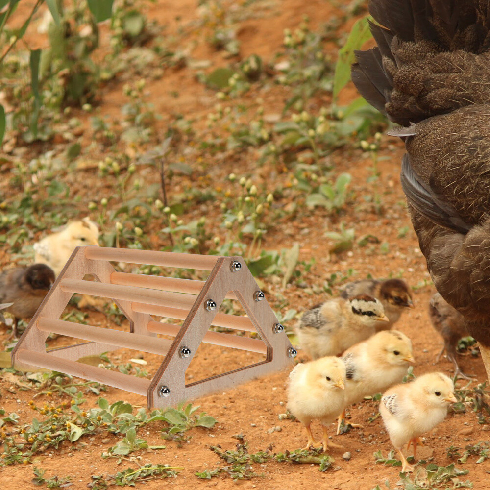 Freestanding Chicken Perch Bird Stand Hen Perch Roosting Bars Chickens ...