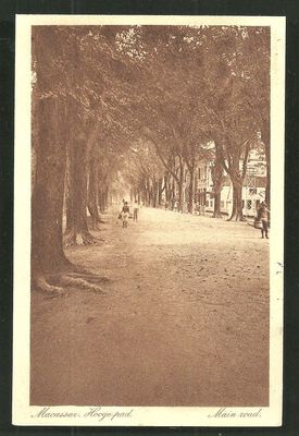 Macassar Makassar Hooge Pad Trees Celebes Sulawesi Indonesia stamp 1922 ...