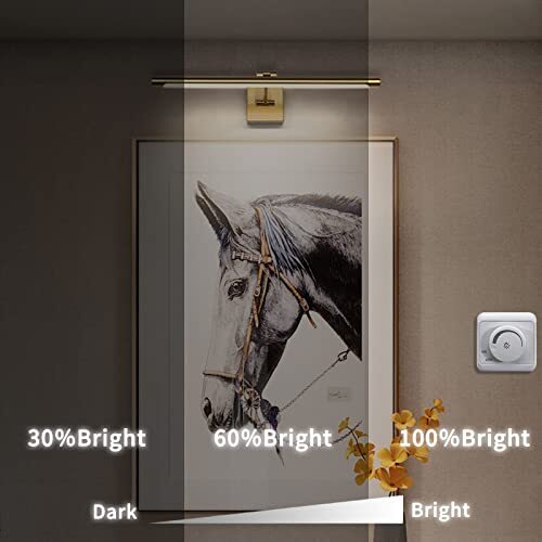 LED Picture Light Fixtures Dimmable 24.4 Inches, Full Metal Artwork ...