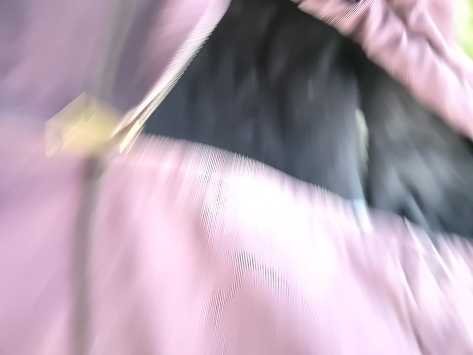 Carhartt WJ130 DPM Purple Duck Canvas Hooded Quilt Lined Jacket Sz 20 ...