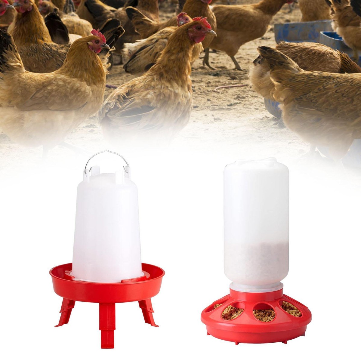 Co Op Chicken Water Containers Chicken Feeder And Waterer Combo From