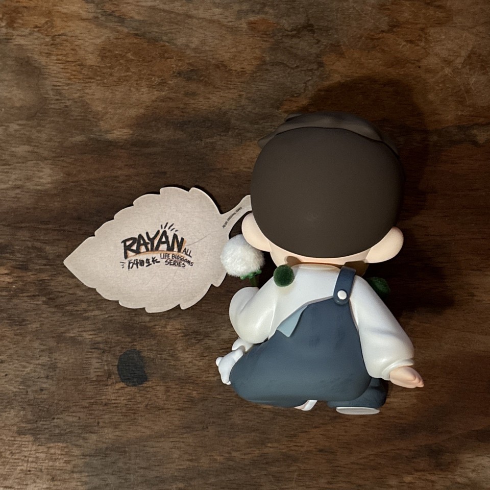 TNT Space x Boy Rayan - All Life Blossoms Series - Wonder (Open Box) | eBay