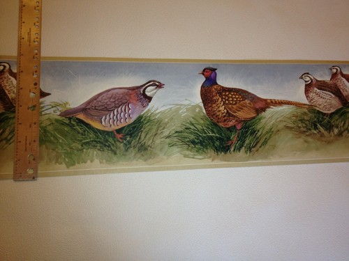 QUAIL AND PHEASANTS IN GRASS PREPASTED WALLPAPER BORDER #TM75081 | eBay