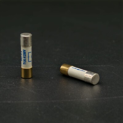 1x high end Pure Silver Power Fuse 5x20mm Slow blow Fuses Hifi Gold ...