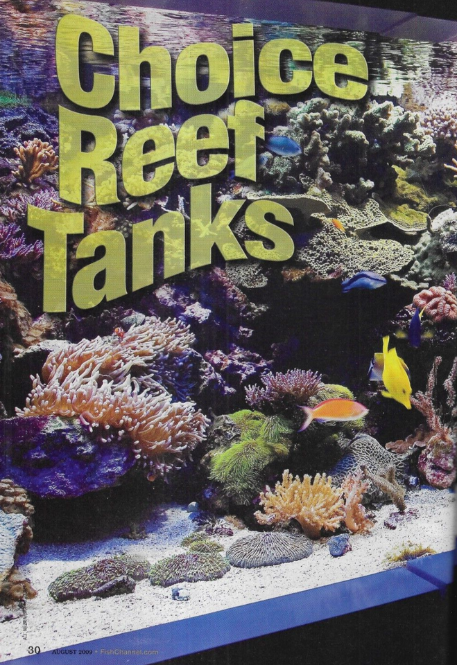 Freshwater And Marine Aquarium Magazine Reef Tanks Striped Headstanders ...