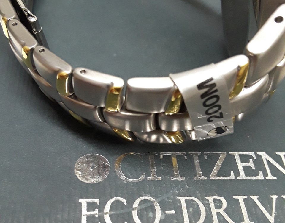 Citizen BL0054-59P Eco-Drive Perpetual Calendar Watch (BRAND NEW!) | eBay