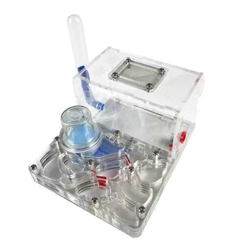 DIY Acryl Mini 3D Ant Farm Ant Nest with Feeding Area Ants House Insect ...