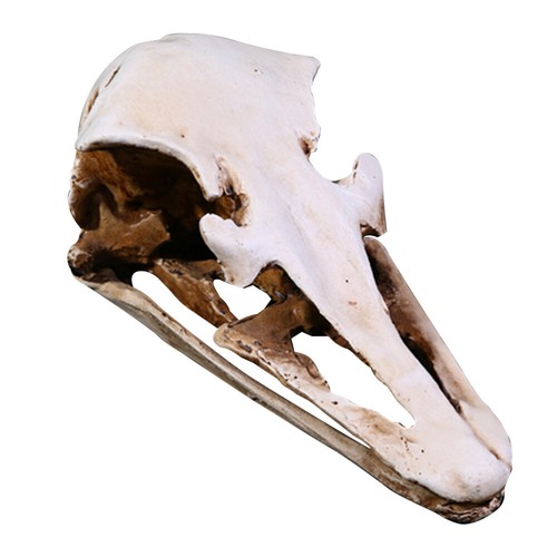 Aquarium Decor Skull Fish Tank Ornament Skeleton Head Sculpture | eBay