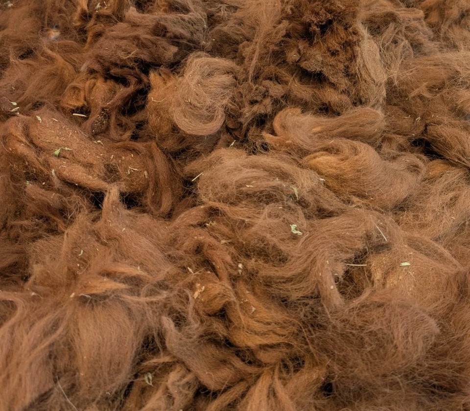 Raw Alpaca Fleece Wool Thirds Spinning Felting Crafts, Red Brown, 8 Oz ...
