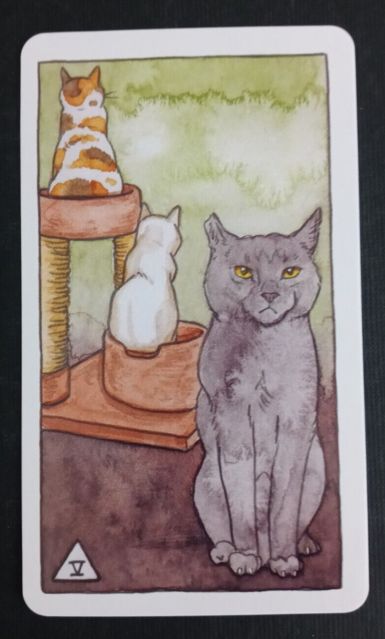 2019 Cat Tarot Card By Megan Lynn Kott 5 Of Swords | eBay