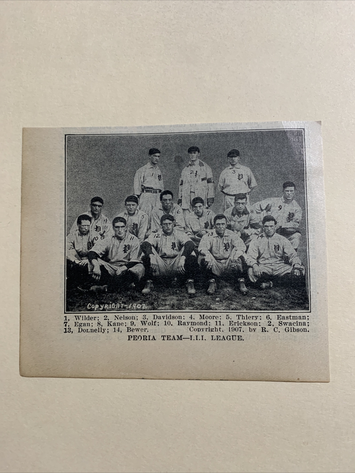 Peoria Distillers Illinois Iowa Indiana League 1907 Baseball Team ...