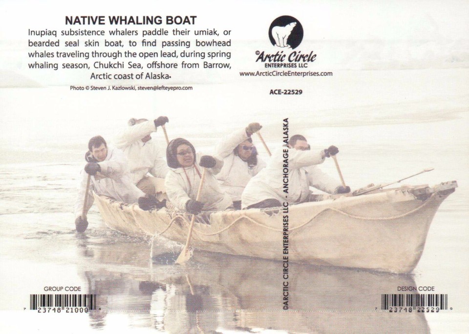 Native American Whaling Boat Inupiaq Inuit Umiak Barrow Alaska, Eskimo ...