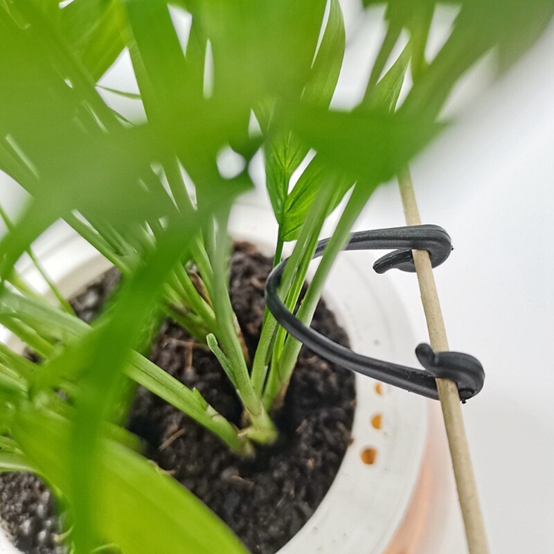 50x Fastener Tied Buckle Garden Tools Grape Support Vine Grafting Clips ...