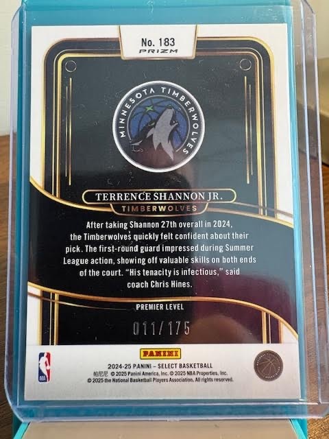 Terrence Shannon Jr Rookie Maroon 11/175 NBA Panini Prizm Select | eBay