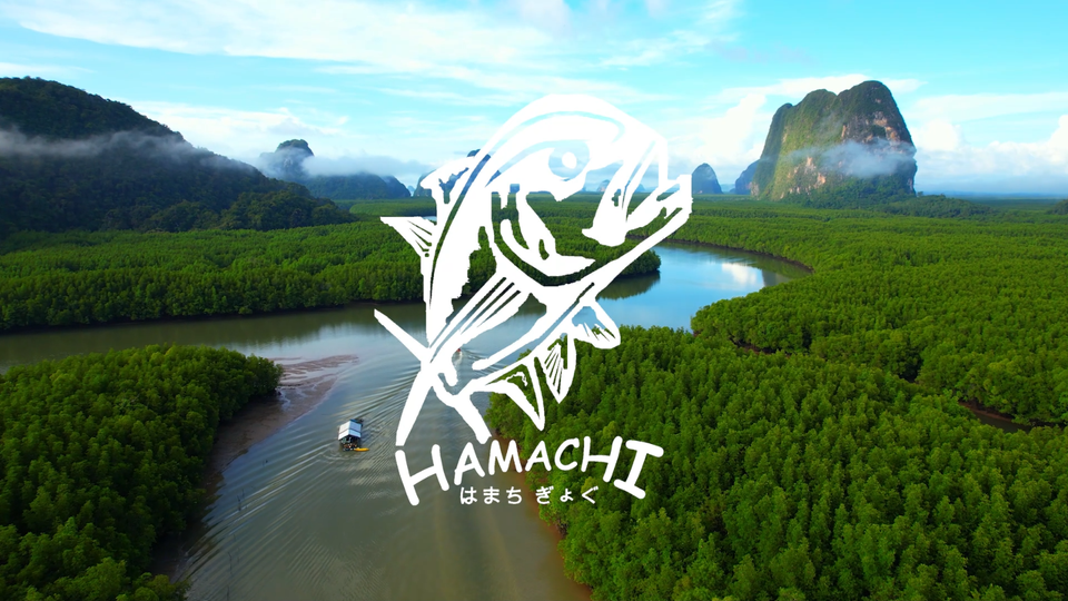 2018 HAMACHI 9'2 HYDRO NOMAD Flick stick 6-15lb Japanese spin fishing ...