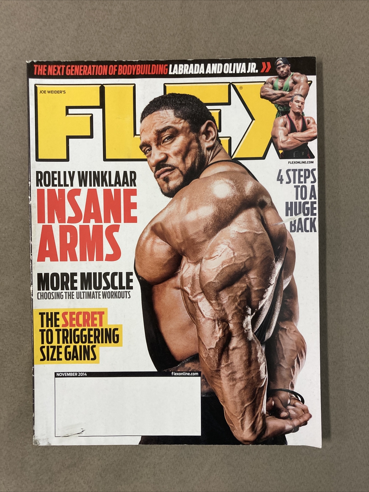 Roelly Winklaar Arms