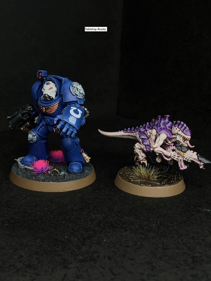 Warhammer 40K Adeptus Custodes Witchseeker Squad Pro Painted Commission ...