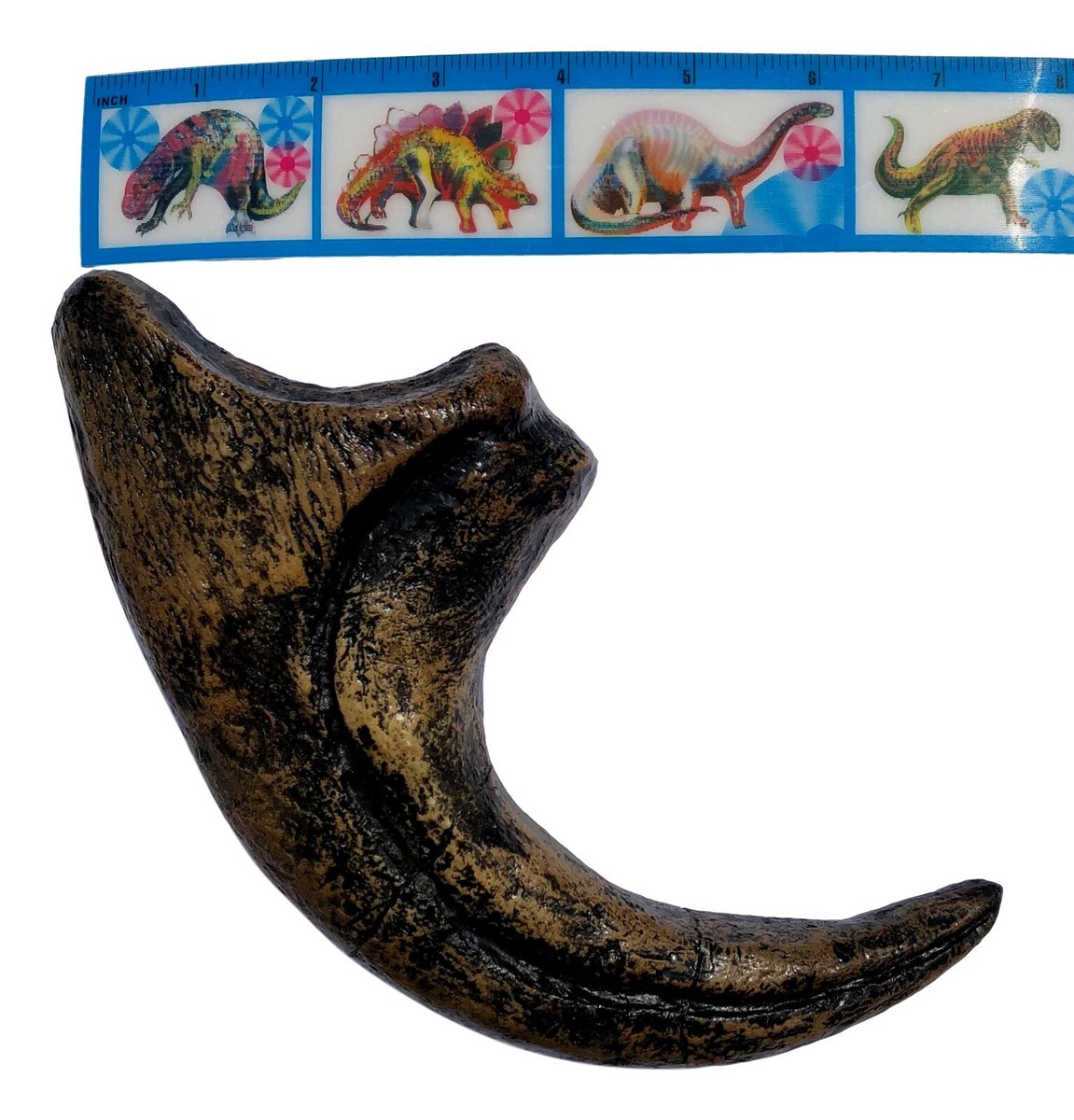 Replica Allosaurus Hand Claw