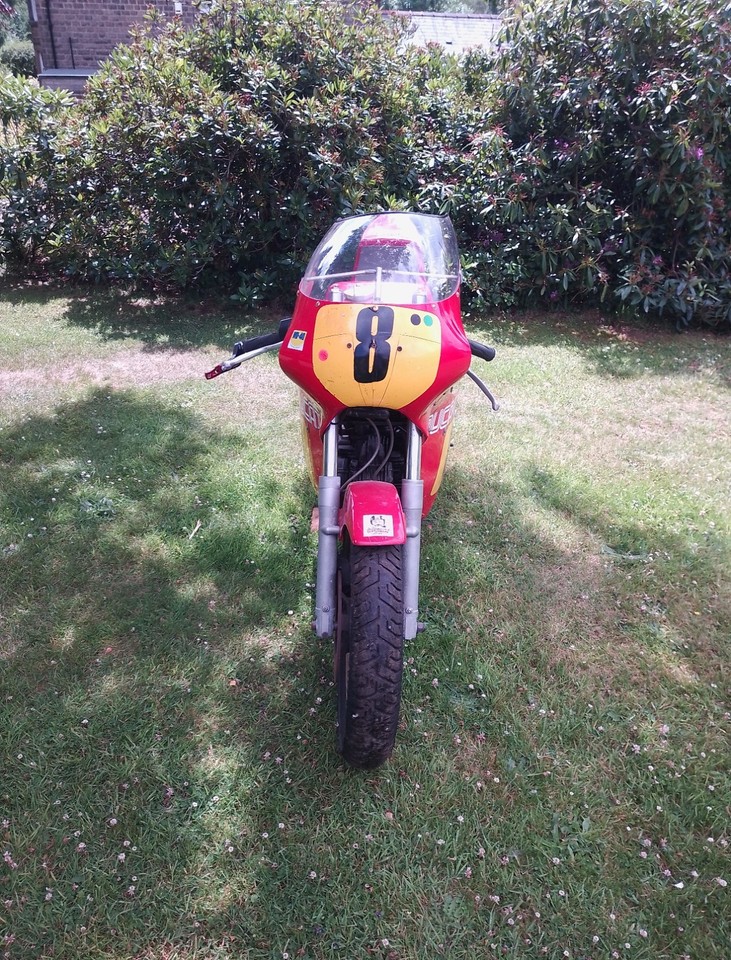 1982 Ducati Pantah 600cc – Classic F2 Racer Spec | eBay UK