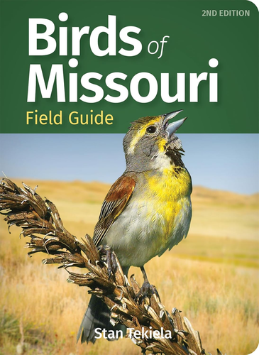 Birds of Missouri Field Guide (Bird Identification Guides) | eBay