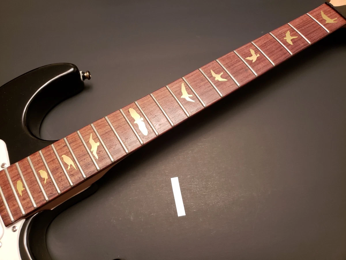 Guitar Fretboard Design