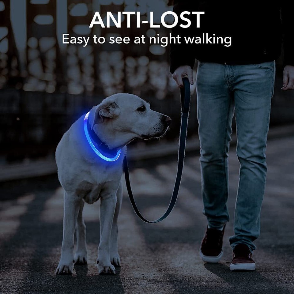 Pet Dog COLLAR LED GLOW night safety adjustable Blinking flash light ...